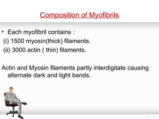 Muscle Contraction physiology | PPT