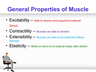 Muscle Contraction physiology | PPT