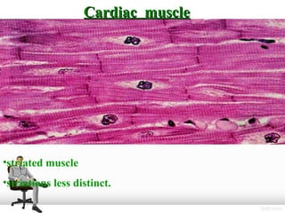 Muscle Contraction physiology | PPT