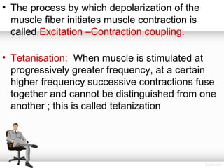 Muscle Contraction physiology | PPT