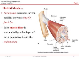 general full overview muscloskeletal physiology.pptx