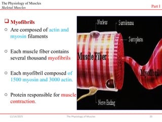 general full overview muscloskeletal physiology.pptx