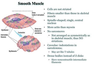 muscle physiology-1.ppt