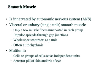 muscle physiology-1.ppt