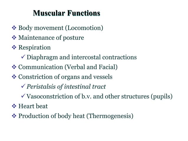 muscle physiology-1.ppt