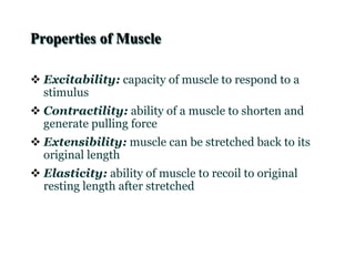 muscle physiology-1.ppt