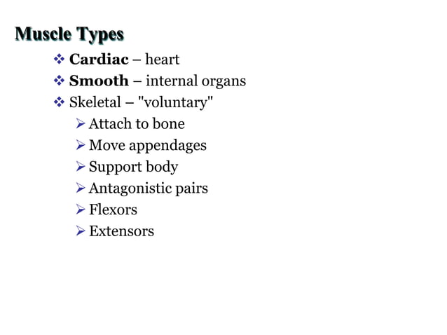 muscle physiology-1.ppt