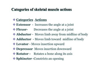 muscle physiology-1.ppt
