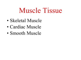 Muscle physiology | PPT