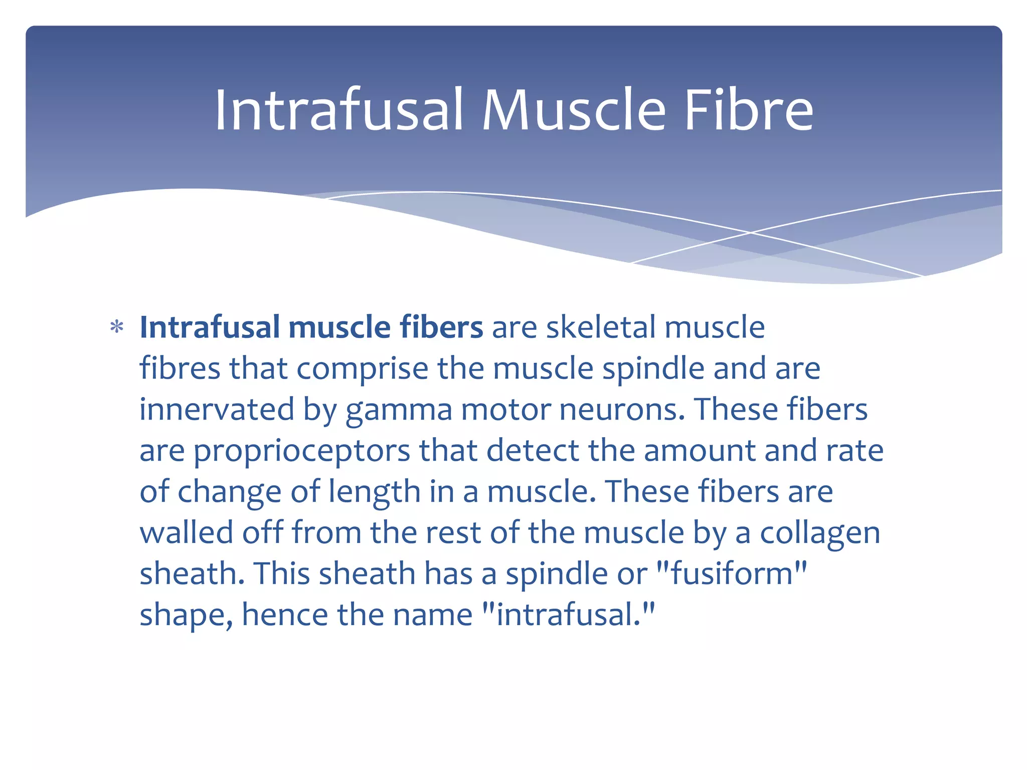 Muscle physiology | PPTX