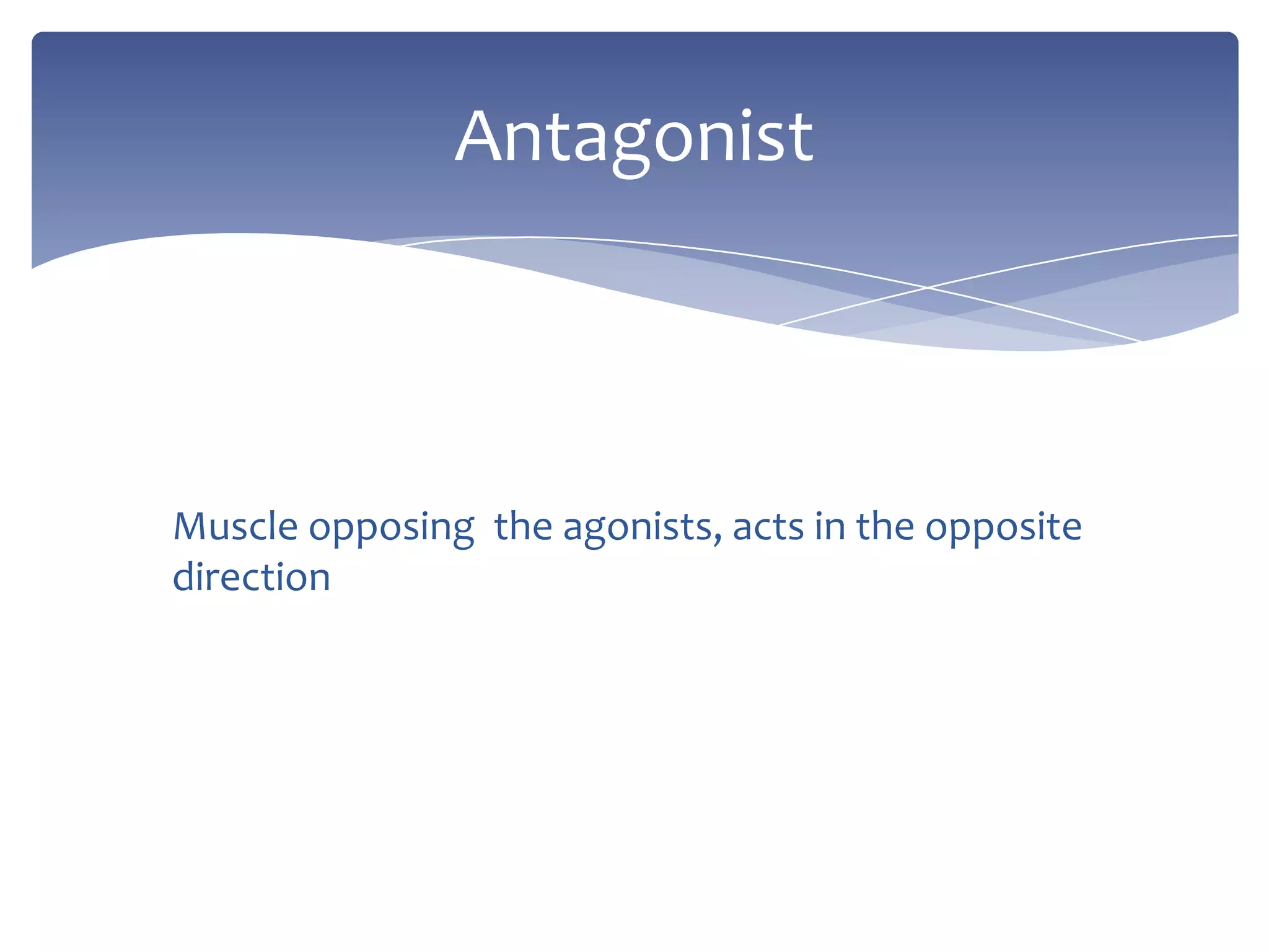 Muscle physiology | PPTX