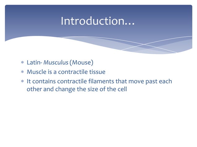 Muscle physiology | PPTX