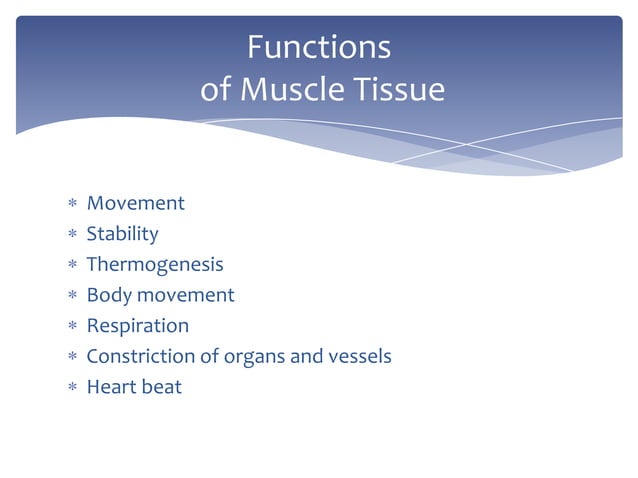 Muscle physiology | PPTX
