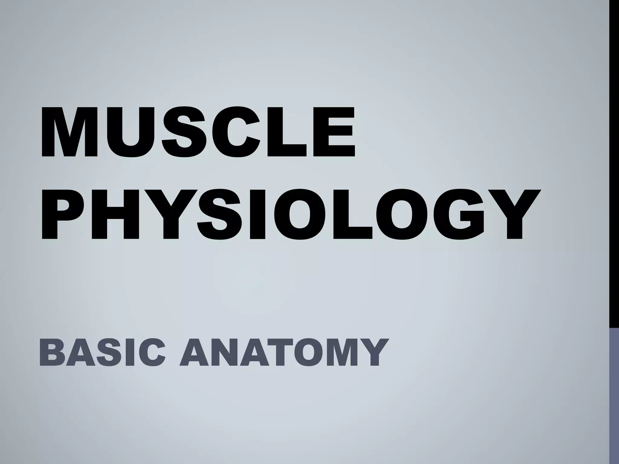 Muscle physiology | PPT