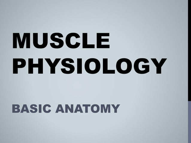 Muscle physiology | PPT