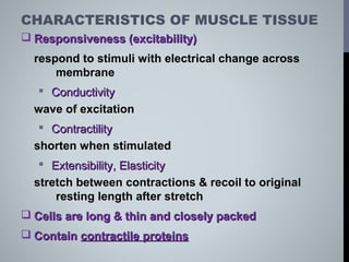 Muscle physiology | PPT