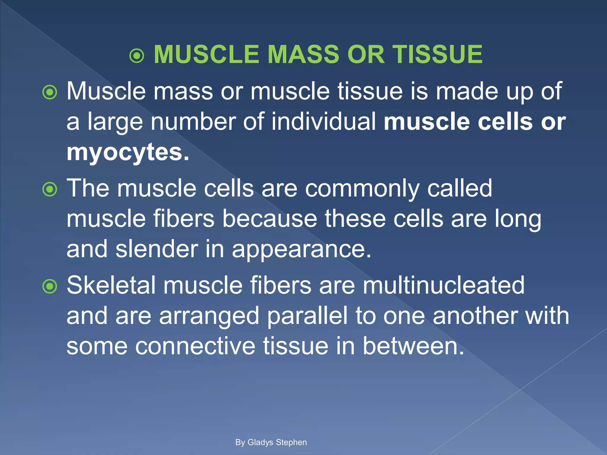 Muscle physiology | PPTX