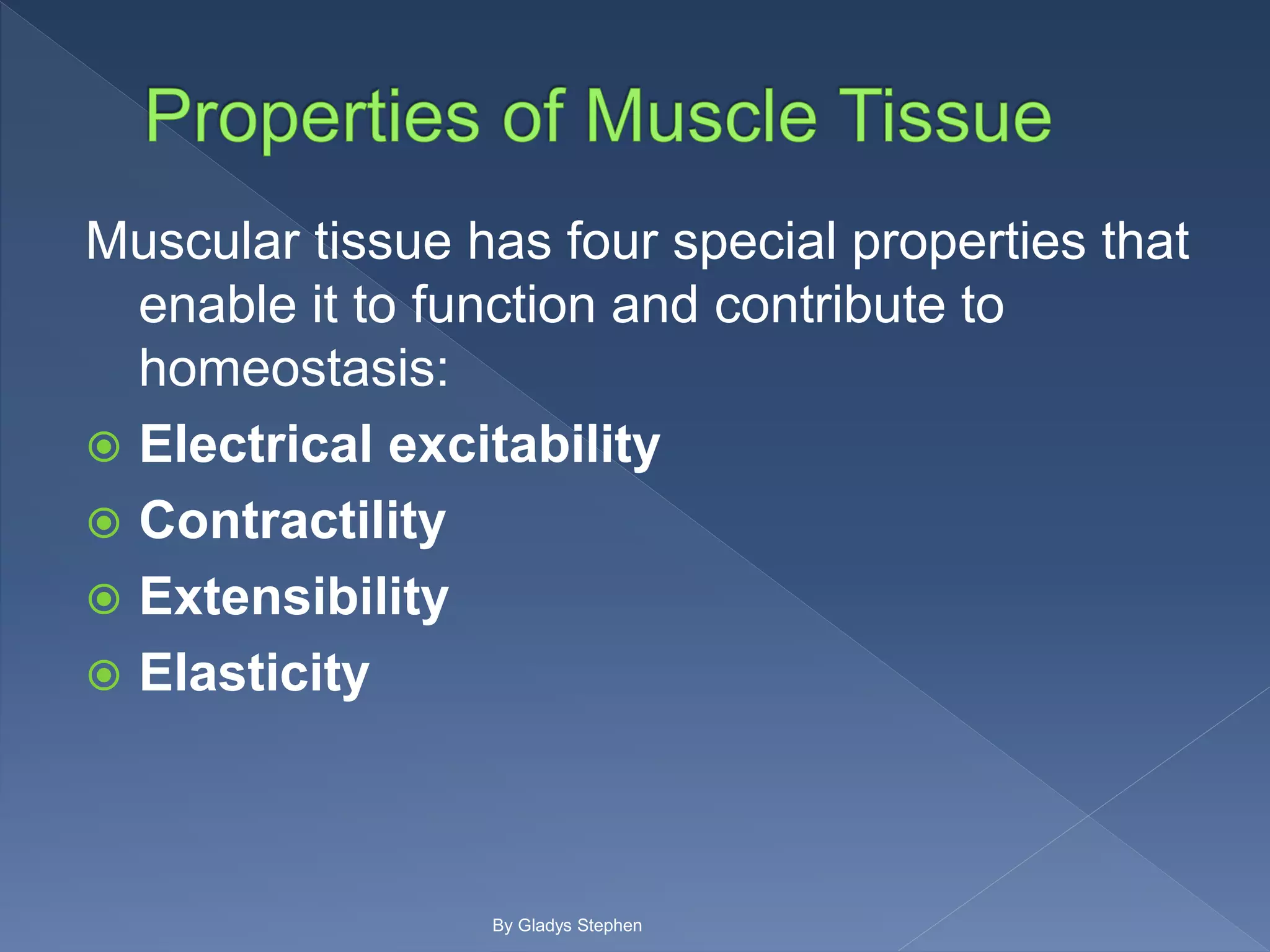 Muscle physiology | PPTX