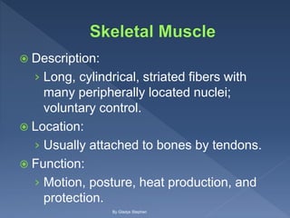 Muscle physiology | PPTX