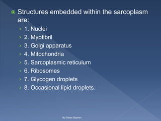 Muscle physiology | PPTX