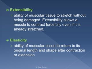 Muscle physiology | PPTX
