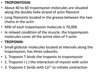 Muscle physiology | PPTX