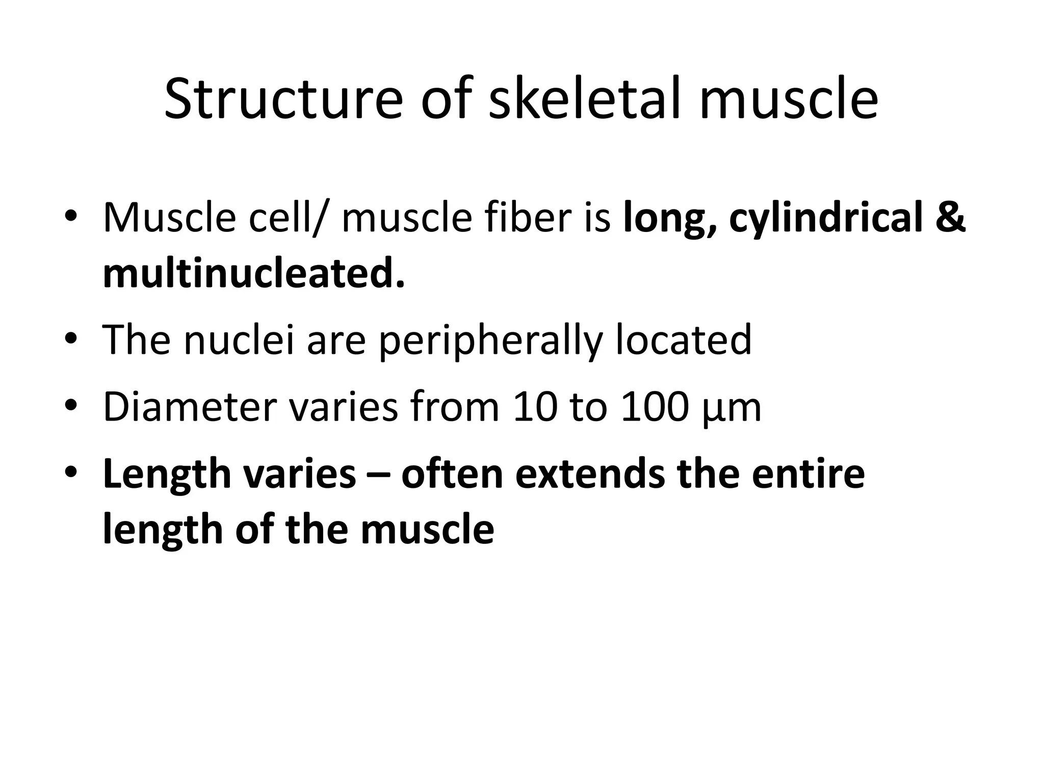 Muscle physiology | PPTX