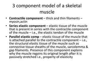 Muscle physiology | PPTX