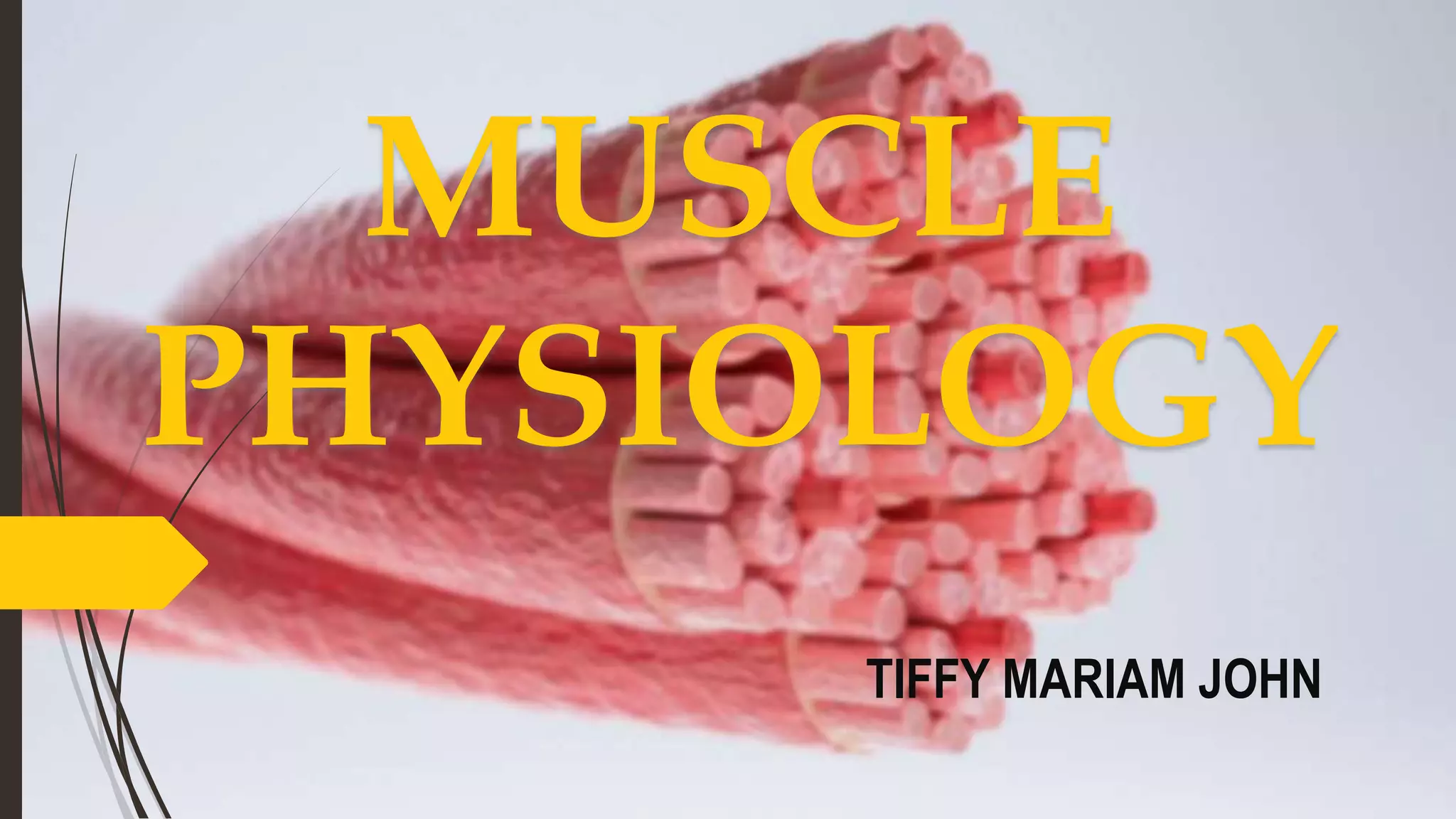 Muscle physiology ,types of muscles: striated ,non striated and cardiac ...