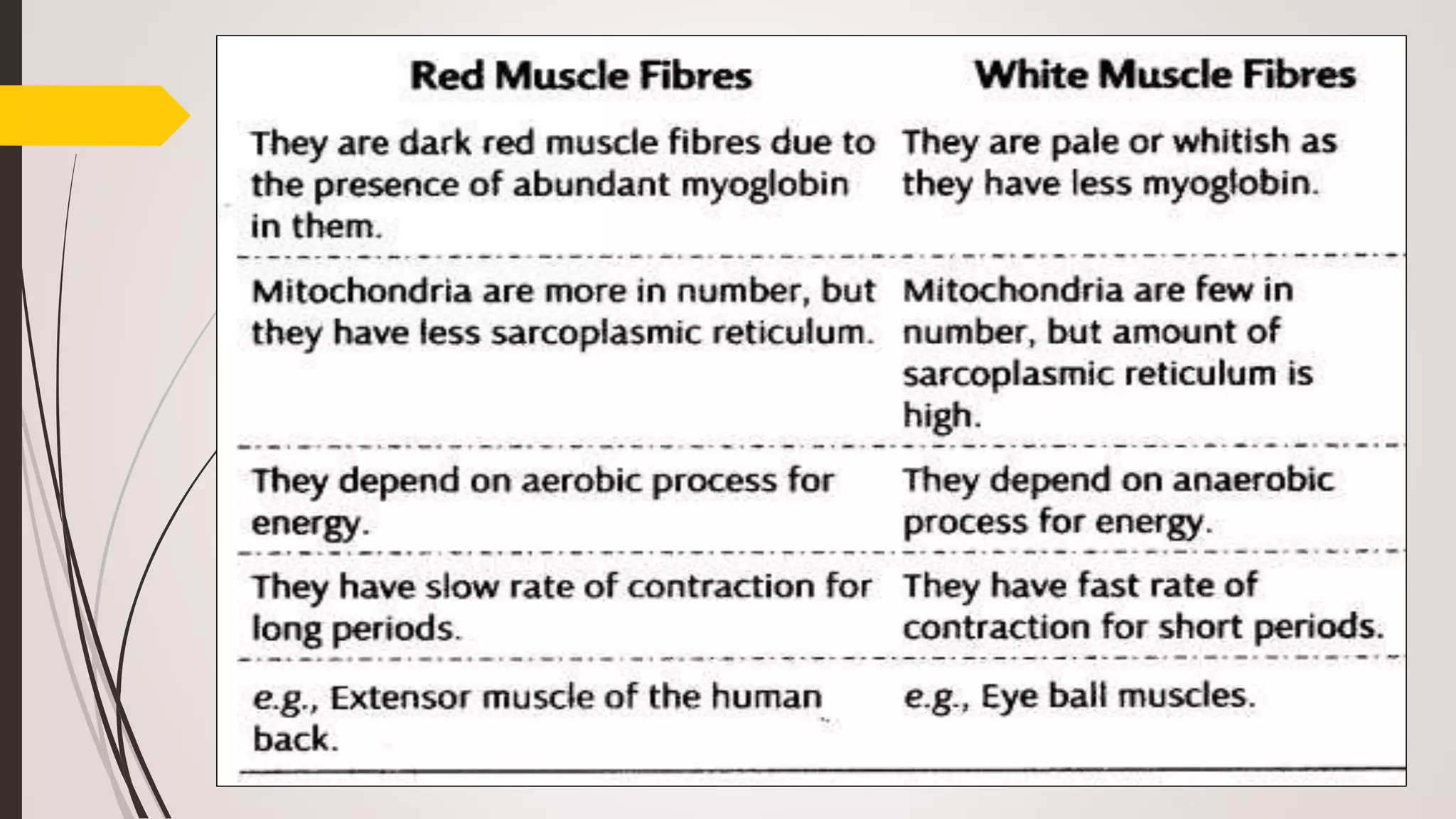 Muscle physiology ,types of muscles: striated ,non striated and cardiac ...