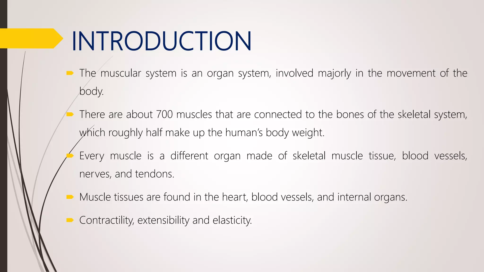 Muscle physiology ,types of muscles: striated ,non striated and cardiac ...