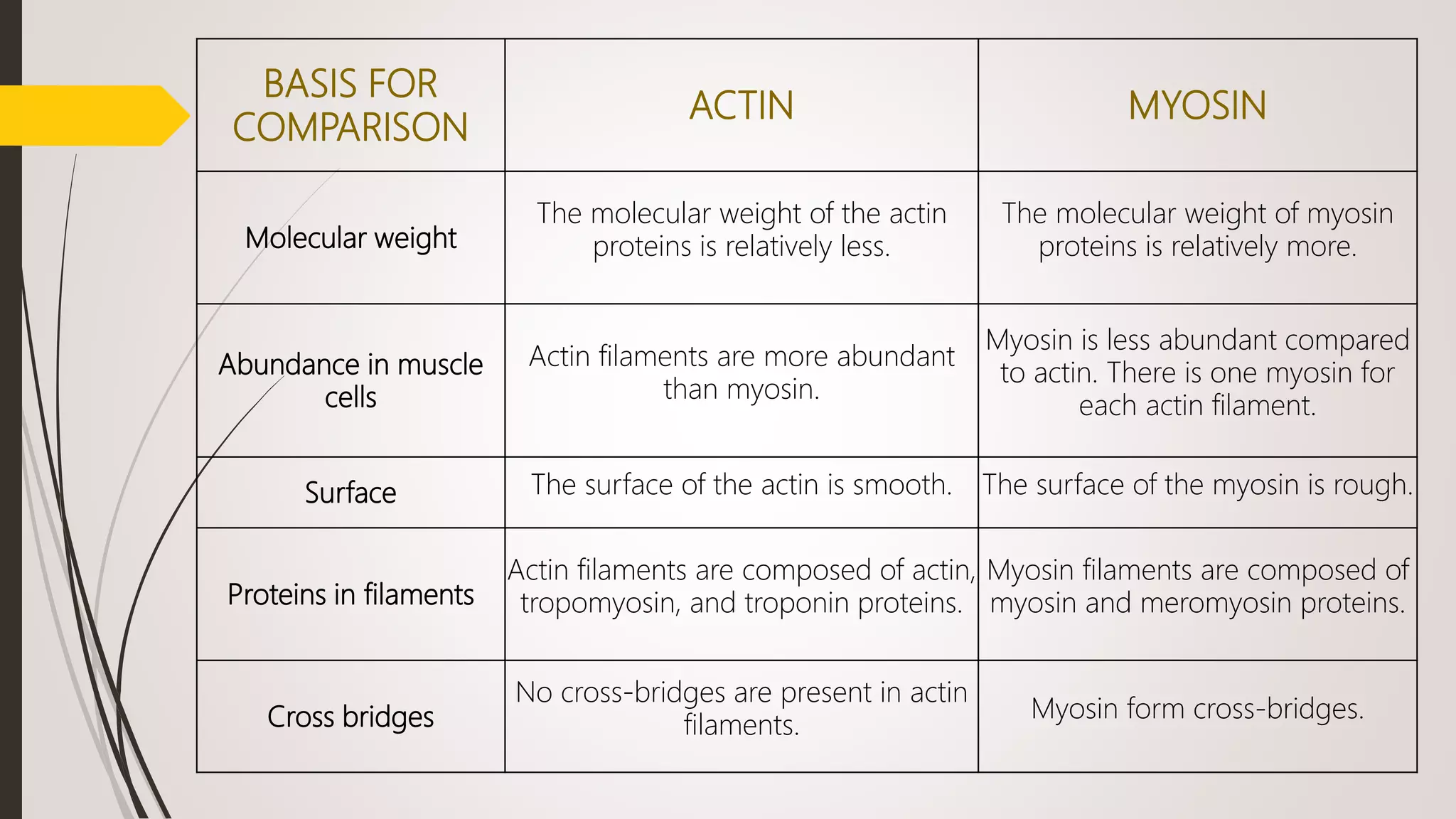 Muscle physiology ,types of muscles: striated ,non striated and cardiac ...