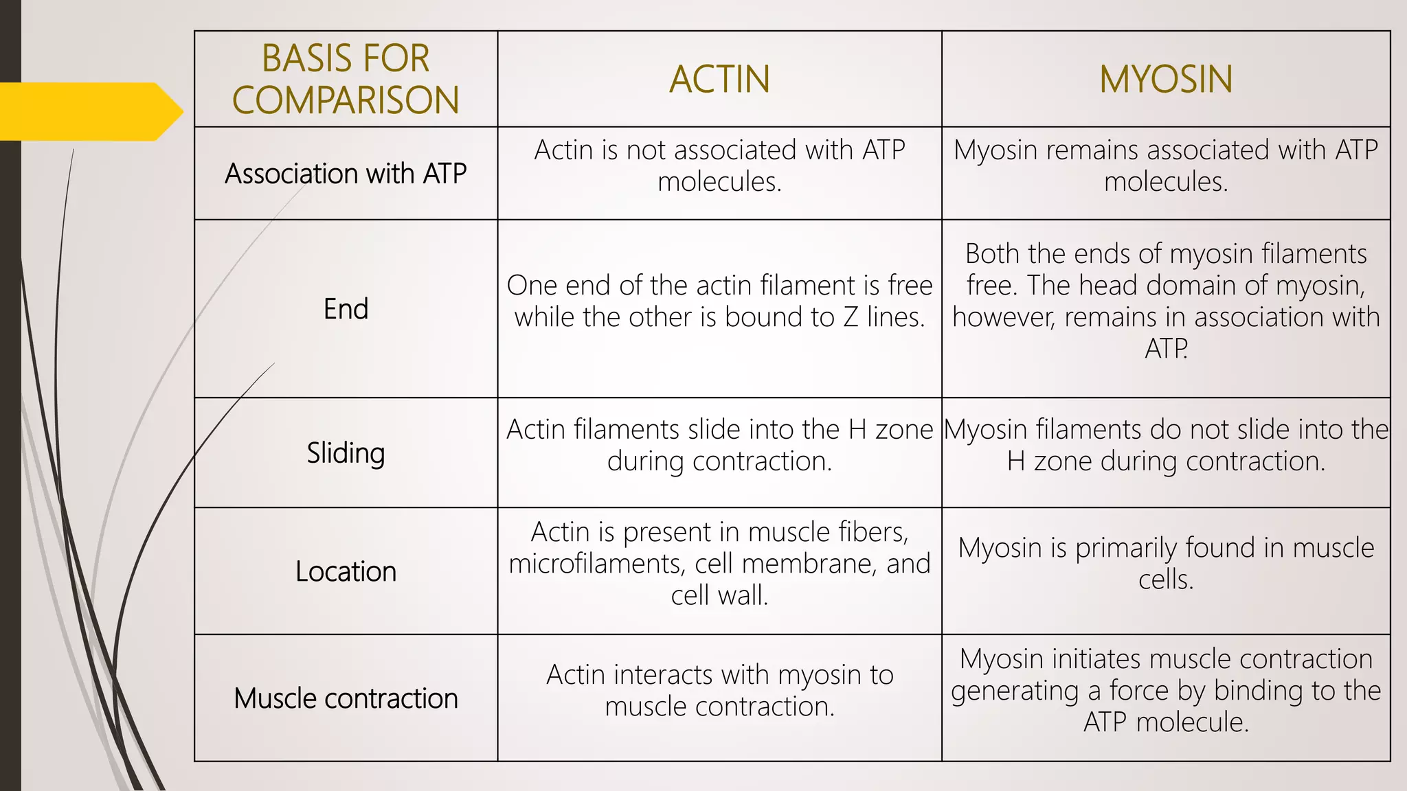 Muscle physiology ,types of muscles: striated ,non striated and cardiac ...