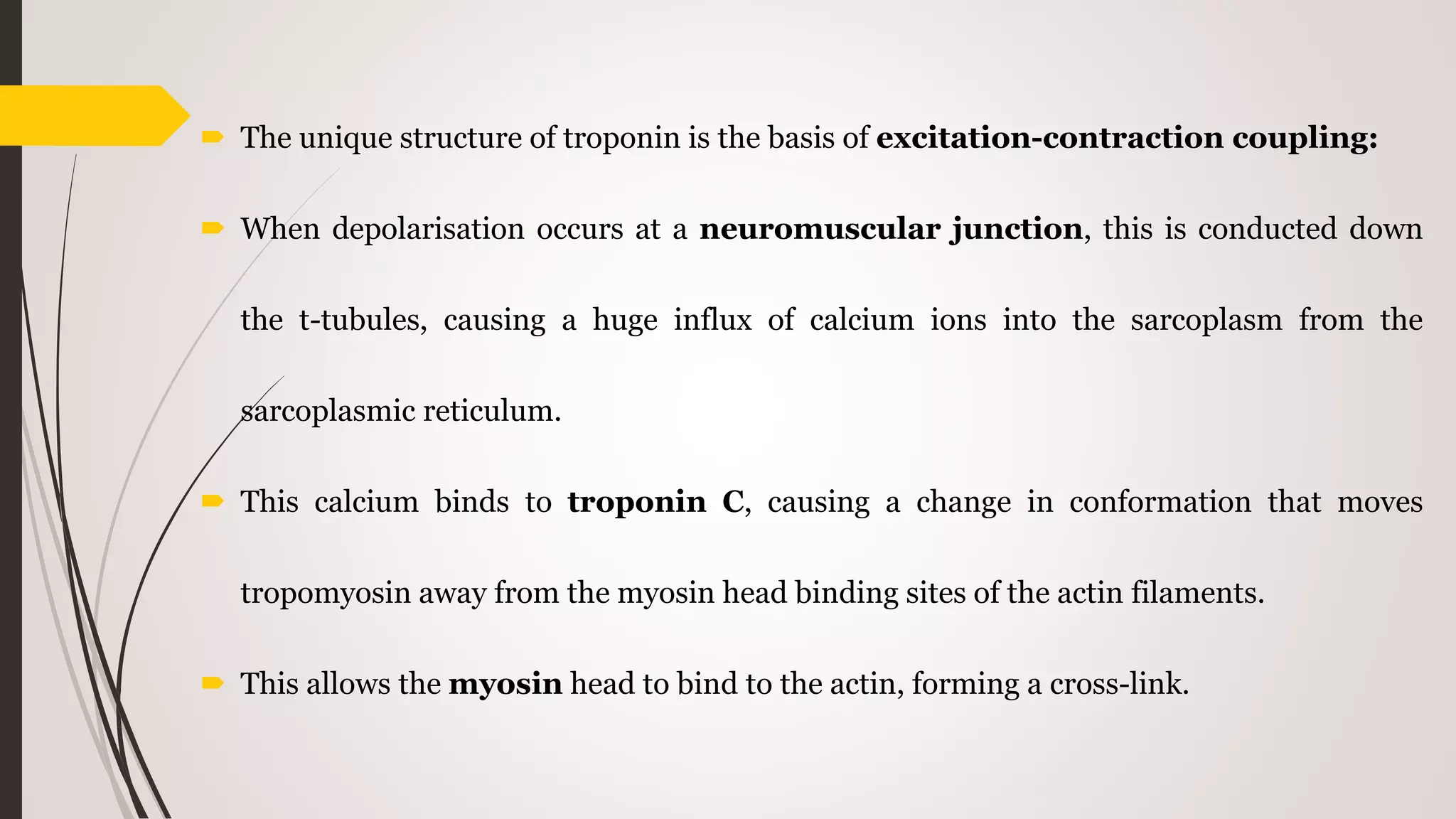 Muscle physiology ,types of muscles: striated ,non striated and cardiac ...