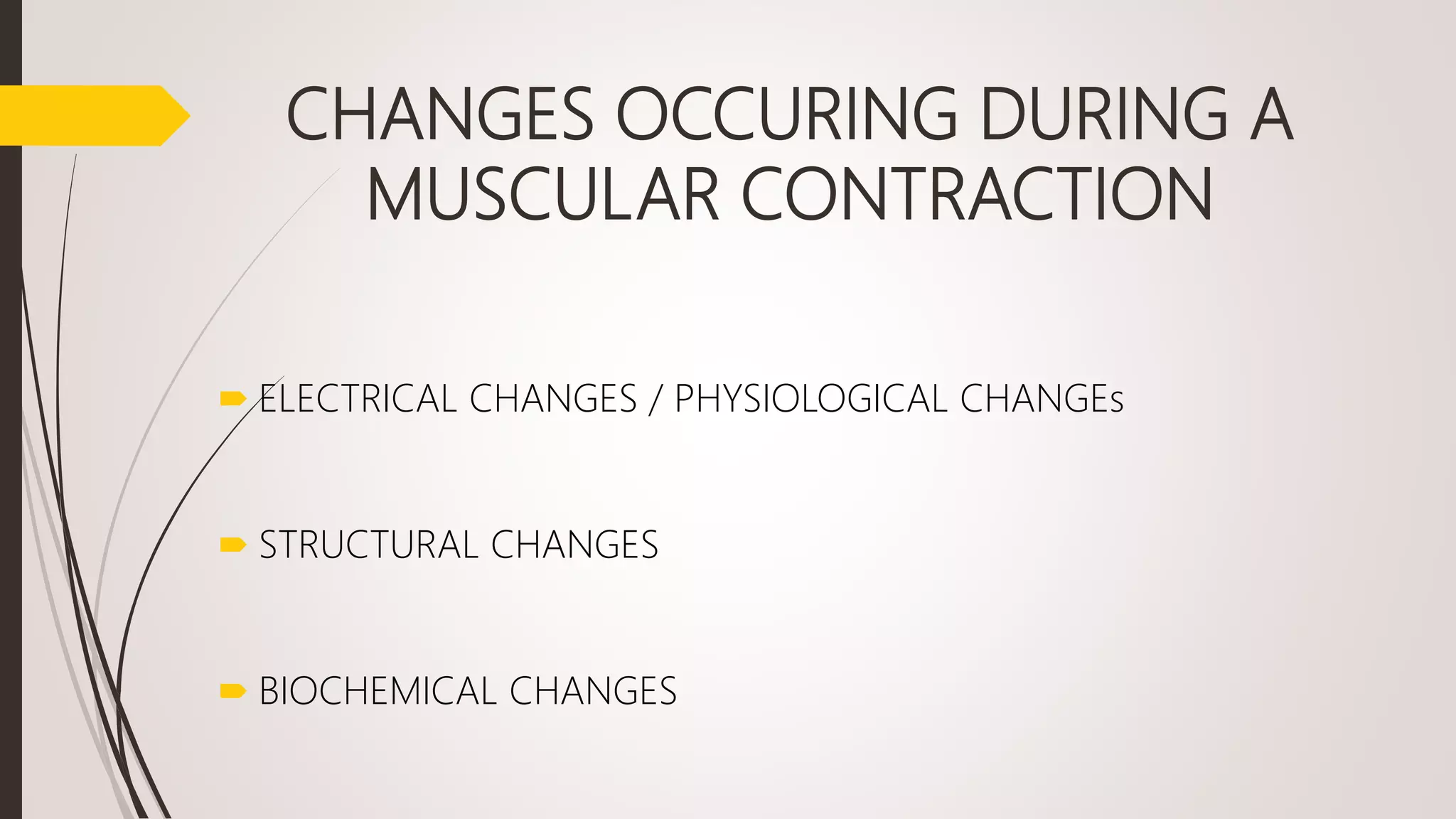 Muscle physiology ,types of muscles: striated ,non striated and cardiac ...