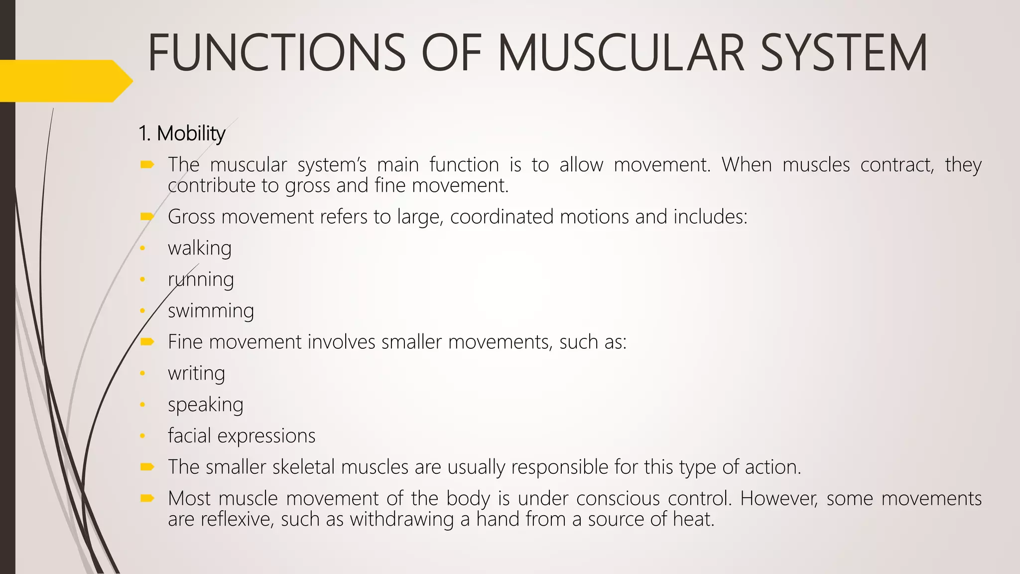 Muscle physiology ,types of muscles: striated ,non striated and cardiac ...