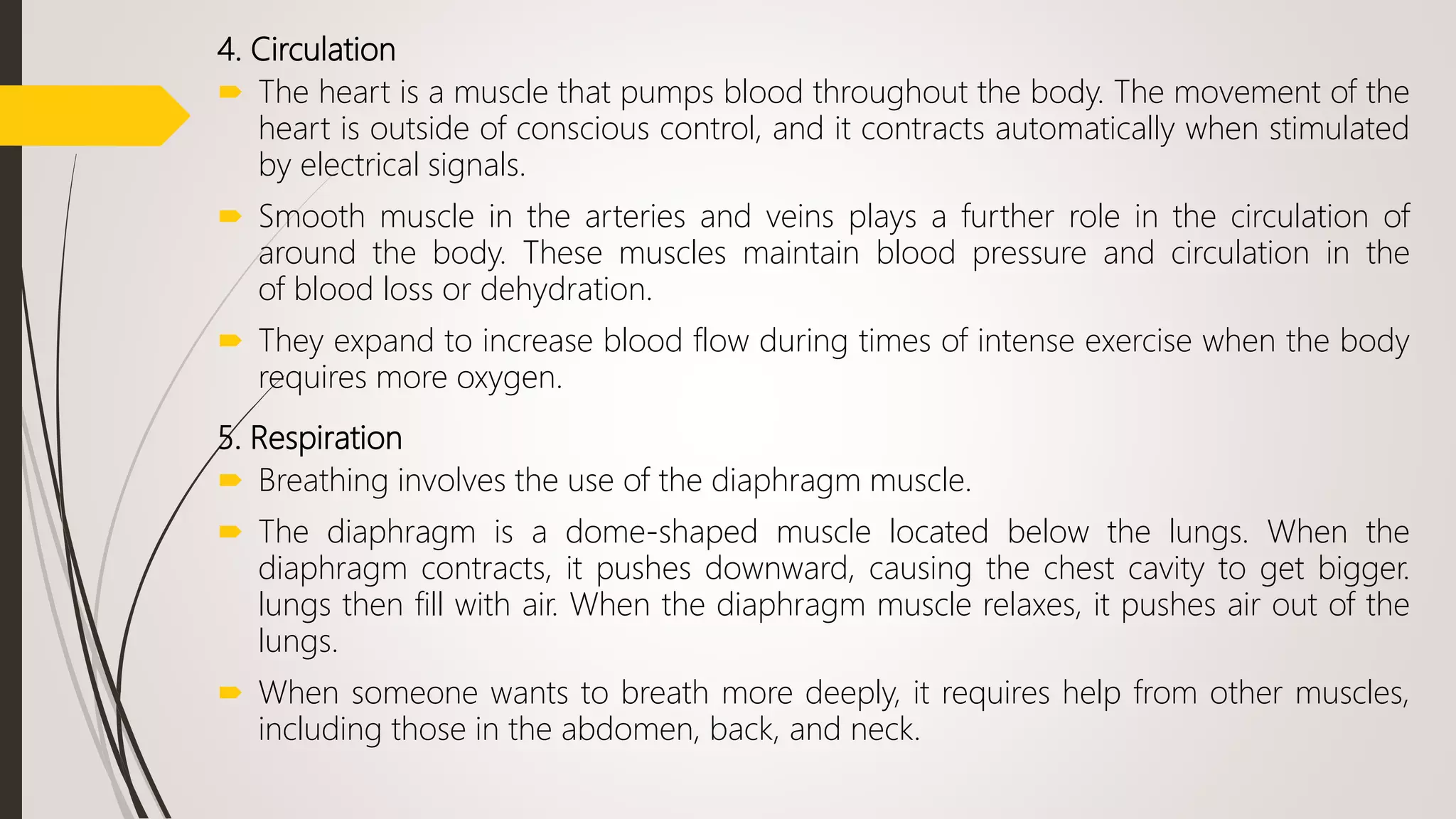 Muscle physiology ,types of muscles: striated ,non striated and cardiac ...