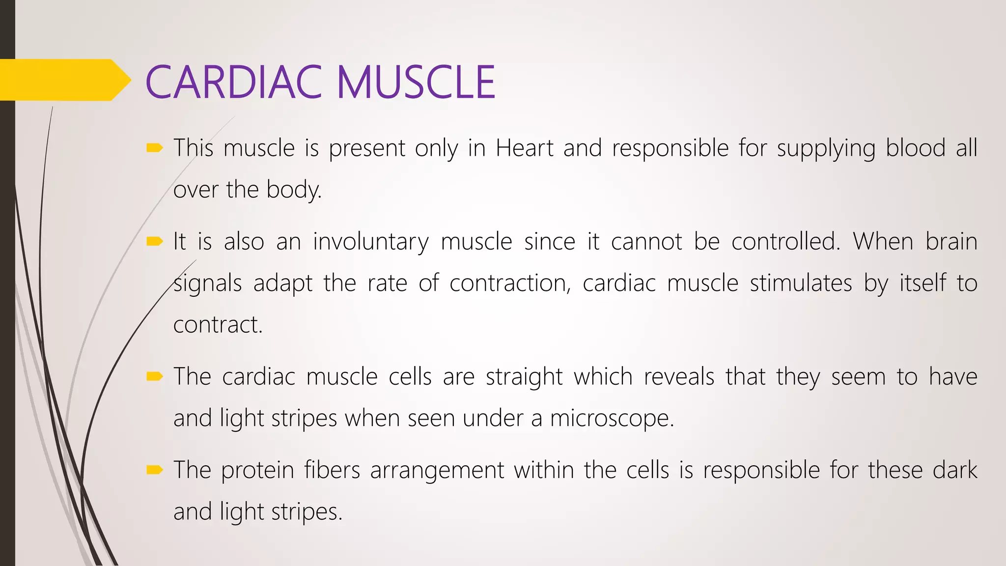 Muscle physiology ,types of muscles: striated ,non striated and cardiac ...