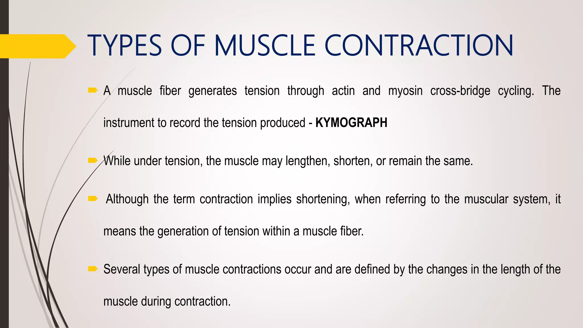 Muscle physiology ,types of muscles: striated ,non striated and cardiac ...