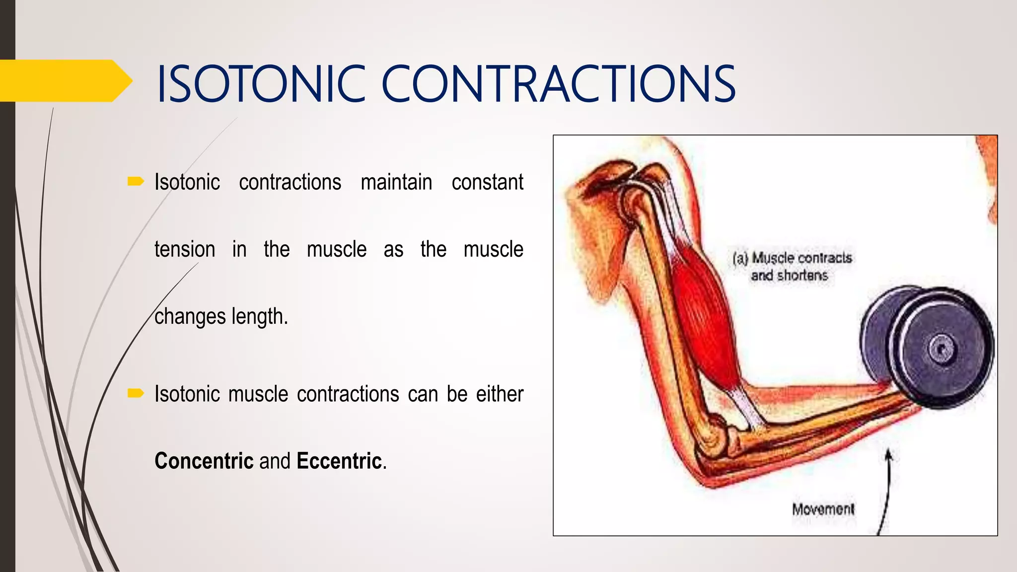 Muscle physiology ,types of muscles: striated ,non striated and cardiac ...