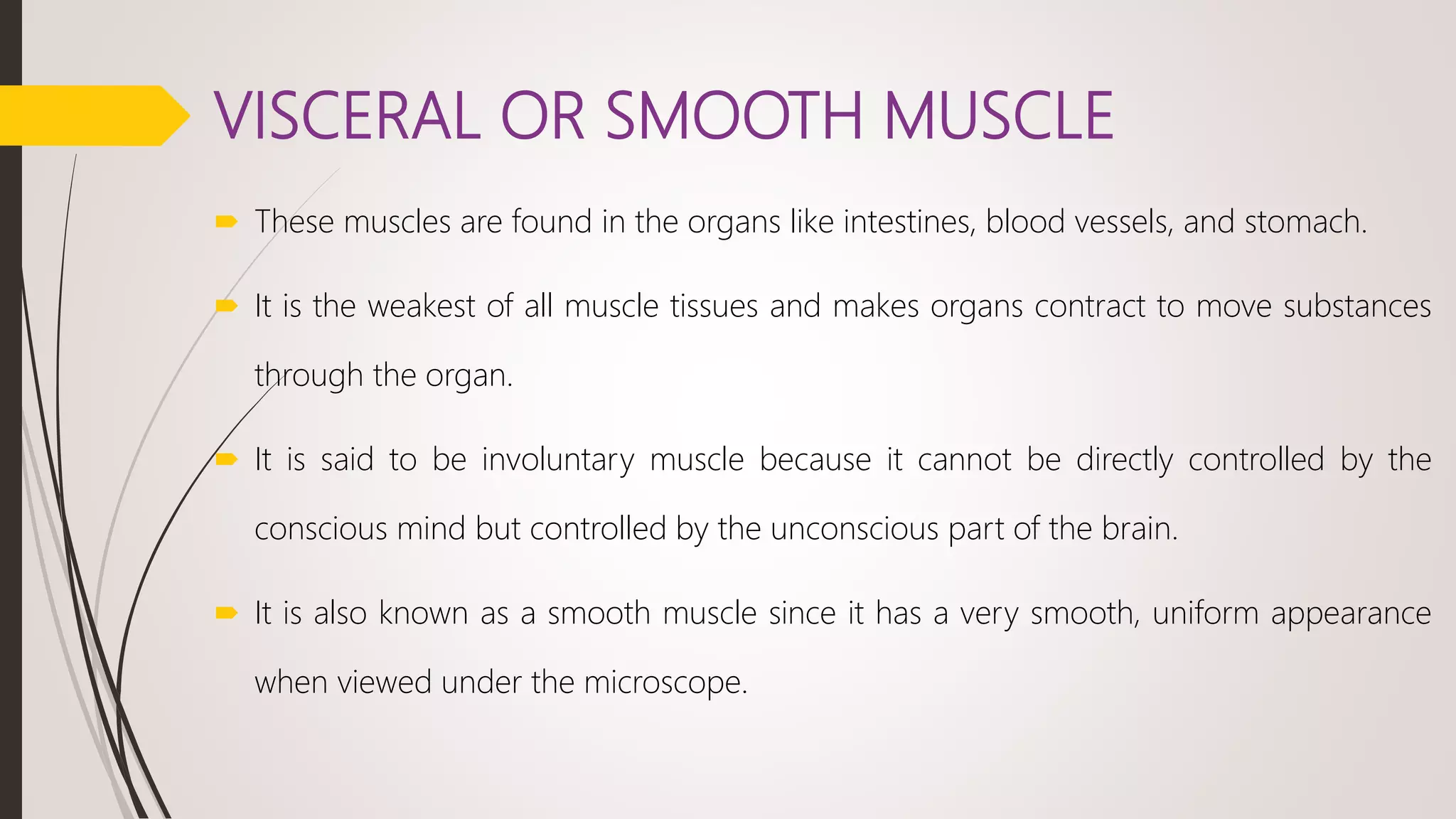Muscle physiology ,types of muscles: striated ,non striated and cardiac ...