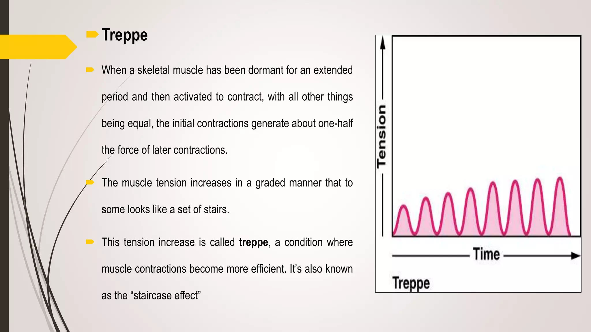 Muscle physiology ,types of muscles: striated ,non striated and cardiac ...