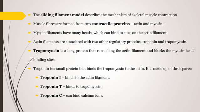 Muscle physiology ,types of muscles: striated ,non striated and cardiac ...