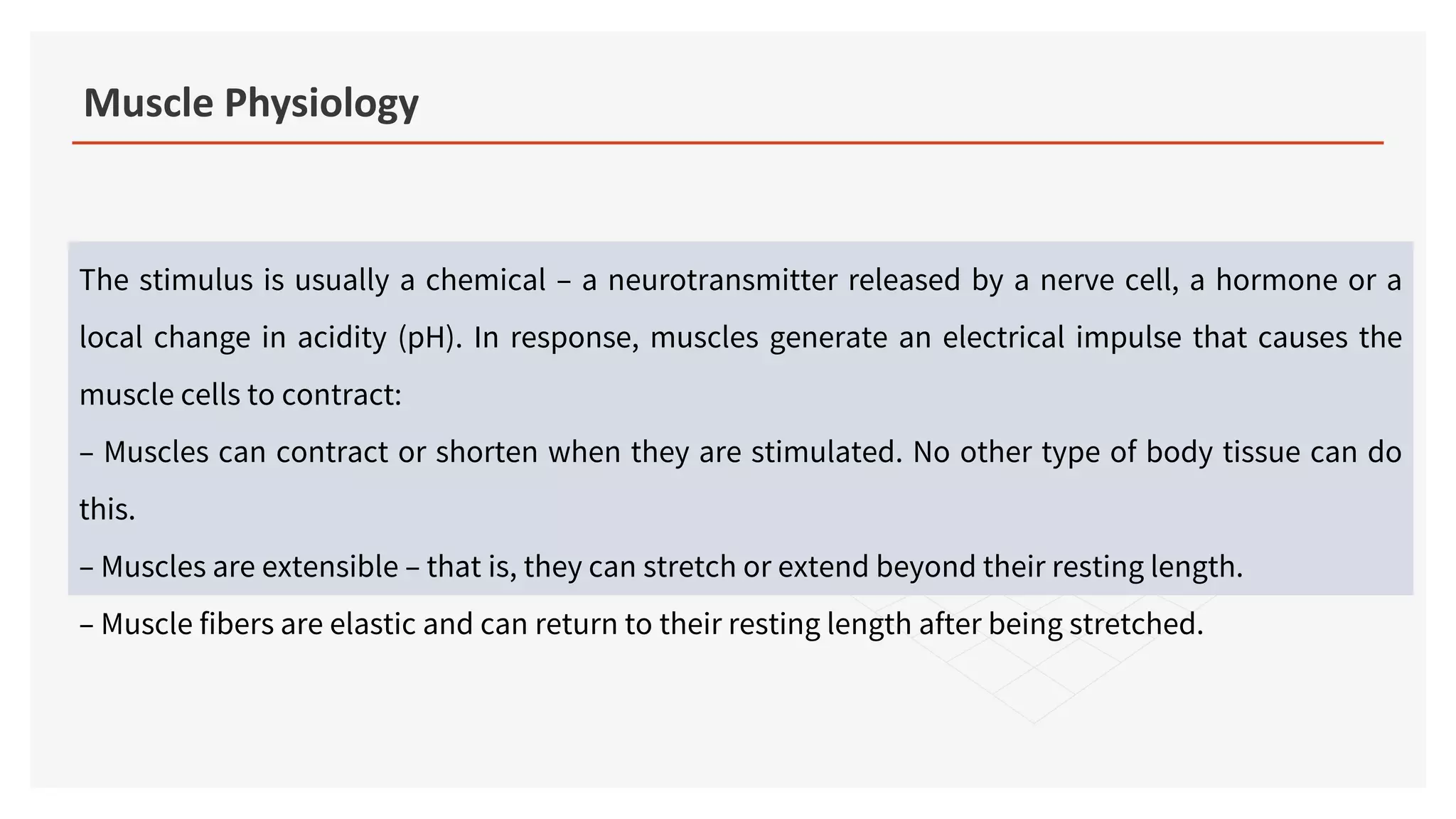 Muscle physiology | PDF