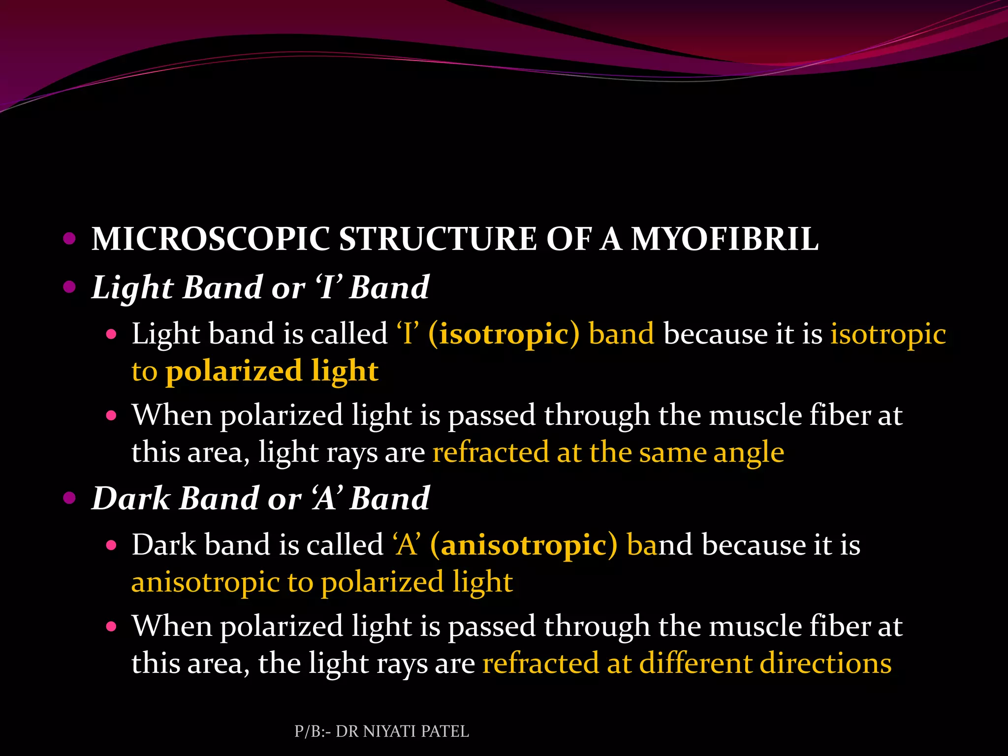 Muscle Physiology.pdf