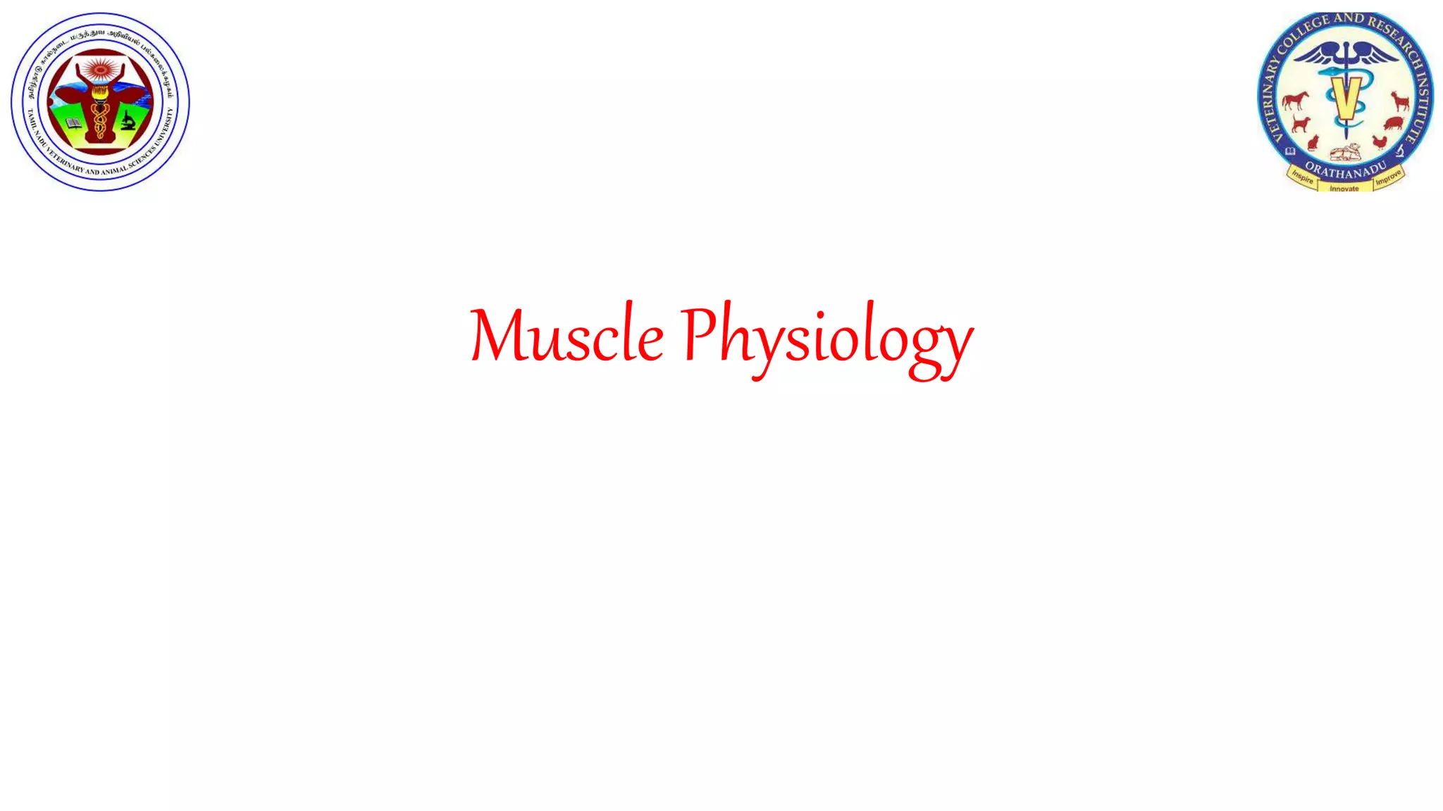 Muscle Physiology.pptx