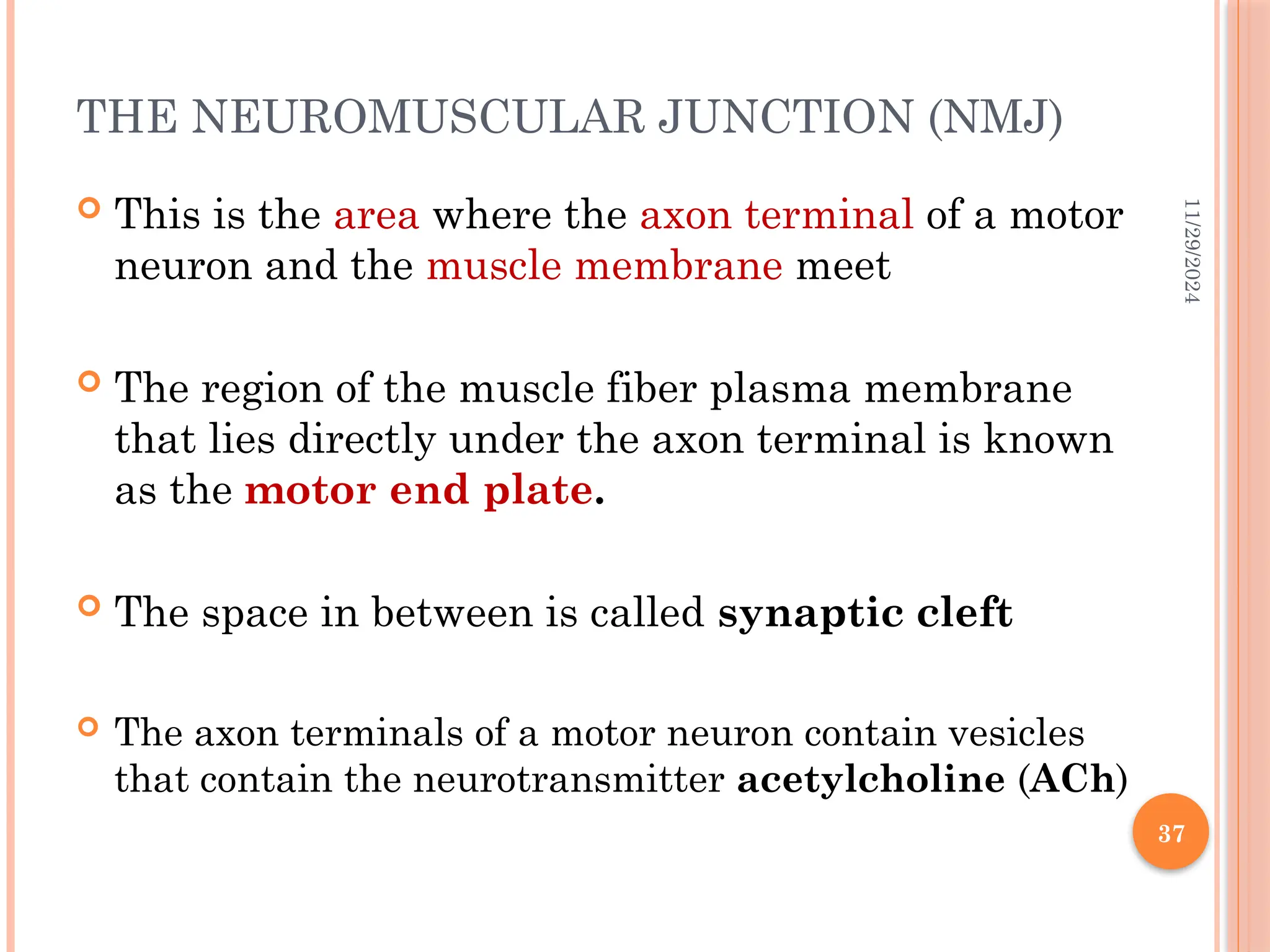Muscle physiology power point presenation.pptx