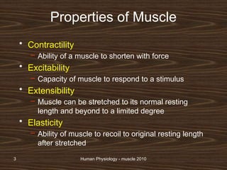 Muscle physiology and good explanation.pptx