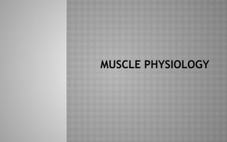 MUSCLE PHYSIOLOGY muscle physiology45689 | PPTX
