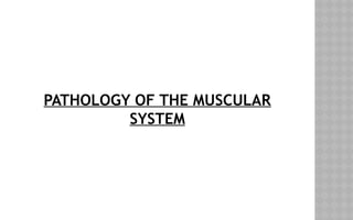 MUSCLE PHYSIOLOGY muscle physiology45689 | PPTX